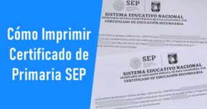 Cómo imprimir certificado de primaria SEP – México | 4move